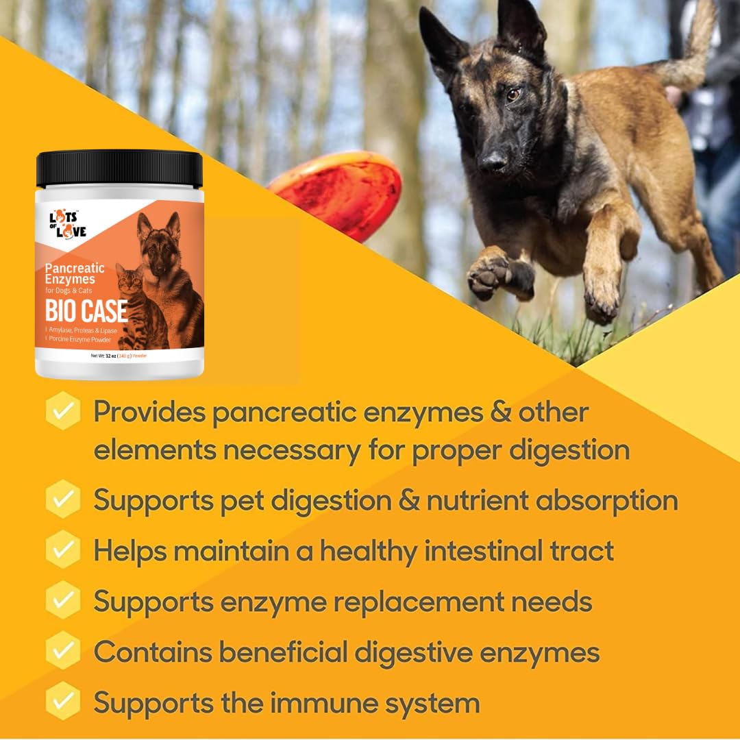 Bio Case - Pancreatic Enzymes for Dog & Cat - 12 Oz Powder (Formerly Thomas Labs BioCase)