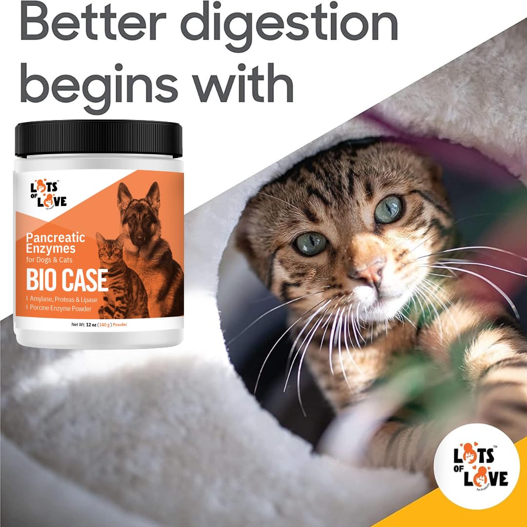 Bio Case - Pancreatic Enzymes for Dog & Cat - 12 Oz Powder (Formerly Thomas Labs BioCase)