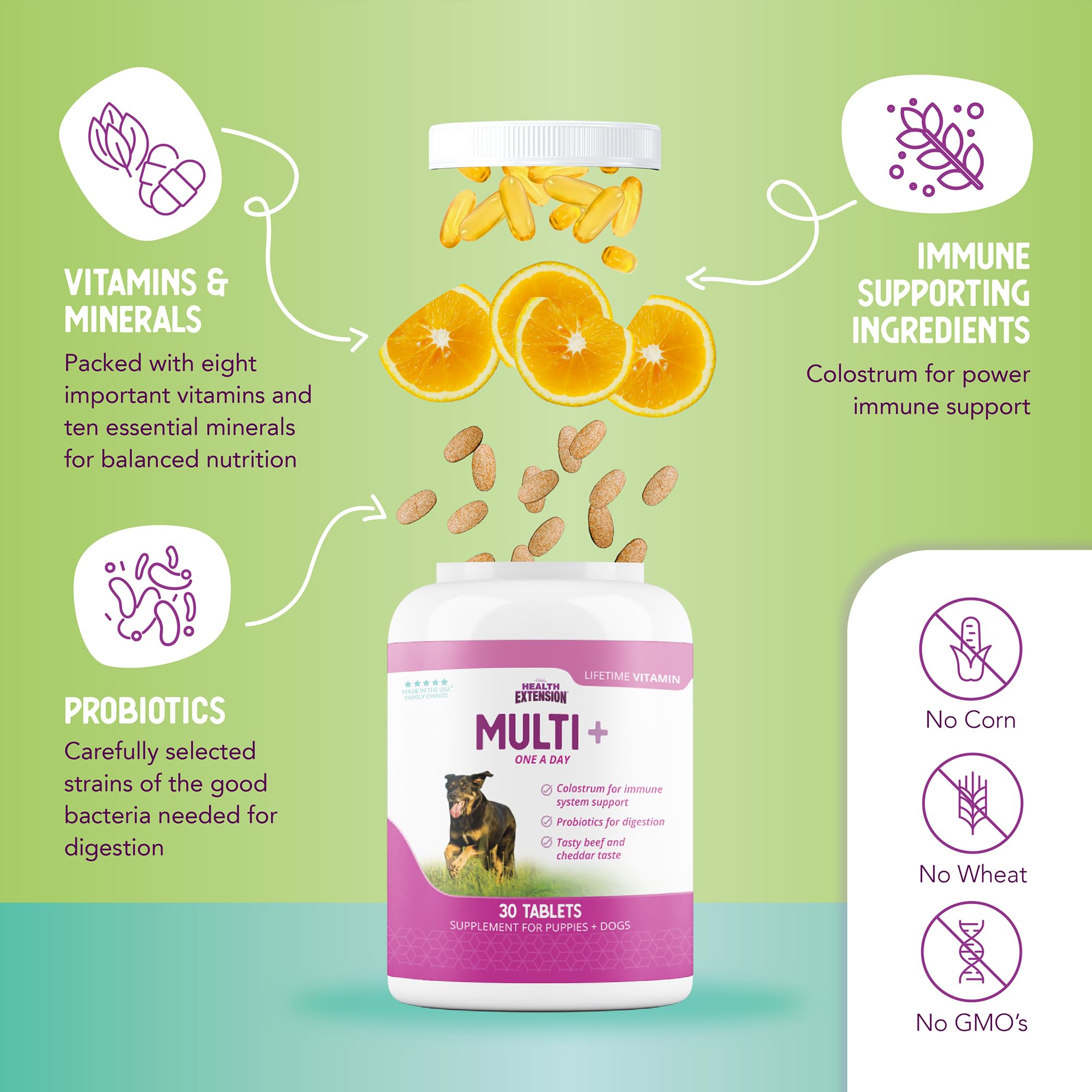 Health Extension Bundle - Dry Dog Food Chicken & Brown Rice Recipe (4 lbs) & Multivitamin (30 Tablets) - High-Protein, Balanced Nutrition for Dogs of All Life Stages