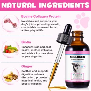 Liquid Collagen for Dogs, Natural Liquid Collagen Drops for Dogs Supports Dogs Itch Relief, Skin & Coat and Joint Health, Dog Collagen Herbal Drops, Pet Supplement Multivitamin - Bacon Flavor / 2.02oz