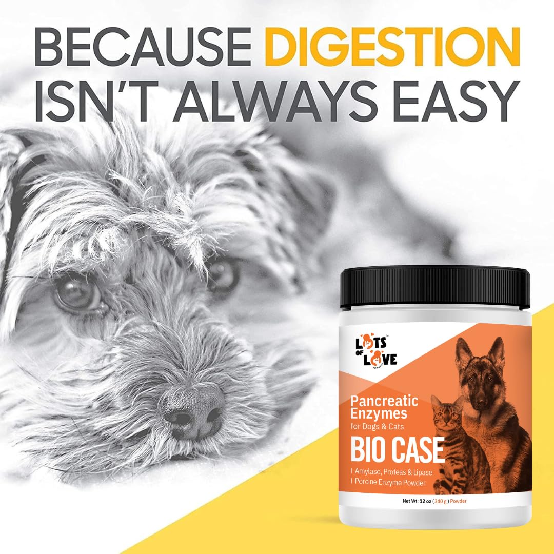 Bio Case - Pancreatic Enzymes for Dog & Cat - 12 Oz Powder (Formerly Thomas Labs BioCase)