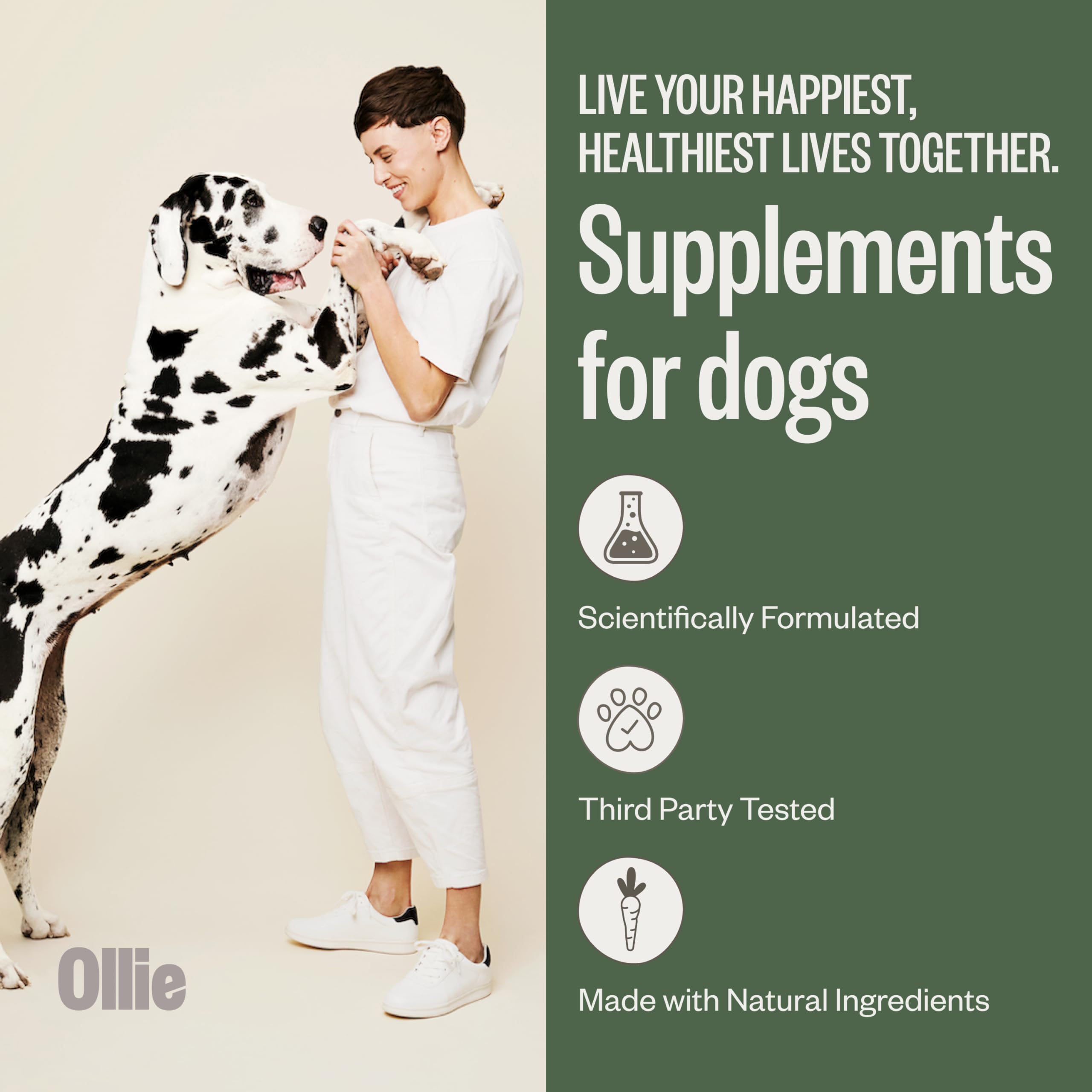 Ollie Belly Rubs Dog Probiotic Chews - Probiotics for Dogs and Ollie Chicken and Apple Recipe Jerky Dog Treats - Dog Jerky Treats All Natural