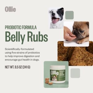 Ollie Belly Rubs Dog Probiotic Chews - Probiotics for Dogs and Ollie Chicken and Apple Recipe Jerky Dog Treats - Dog Jerky Treats All Natural