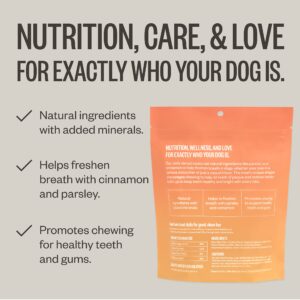 Ollie Belly Rubs Dog Probiotic Chews - Probiotics for Dogs and Ollie Dental Chews for Dogs Medium -Dog Breath Treats