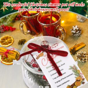 Baderke Christmas Simmer Pot Gift 50 oz Glass Cooking Festive Saucepan Pots with Christmas Card Artificial Red Berries Pine Needles Handmade Cotton Rope Red Ribbon Stirring Spoon for DIY Xmas Gift