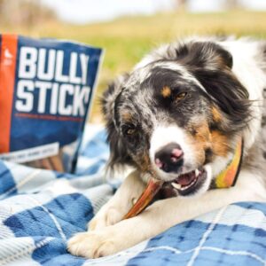 Wild Wolf 6-inch Angus Bully Sticks (8 Ounces) Healthy, All-Natural, Long-Lasting Dog Chew Bones - Natural Scent Dogs Love - Mixed Thickness