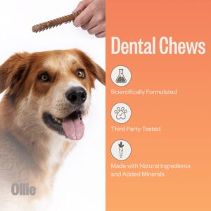 Ollie Belly Rubs Dog Probiotic Chews - Probiotics for Dogs and Ollie Dental Chews for Dogs Small - Dog Breath Treats