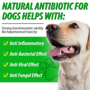 Natural Antibiotics for Dogs, Dog Antibiotics Supports Dog Allergy and Itch Relief, Dog Multivitamin, Pet Antibiotics, for All Breeds 4 Fl Oz