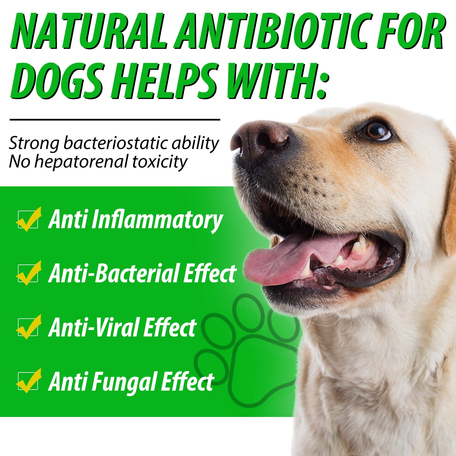 Natural Antibiotics for Dogs, Dog Antibiotics Supports Dog Allergy and Itch Relief, Dog Multivitamin, Pet Antibiotics, for All Breeds 4 Fl Oz