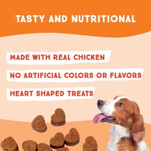 SuchGood Hip and Joint + Skin and Coat Dog Treats - Support Chews for All Breed Sizes and Ages, Glucosamine and Chondroitin + Salmon and Flaxseed Oil for Dogs (Chicken Flavor, 4 Packs)