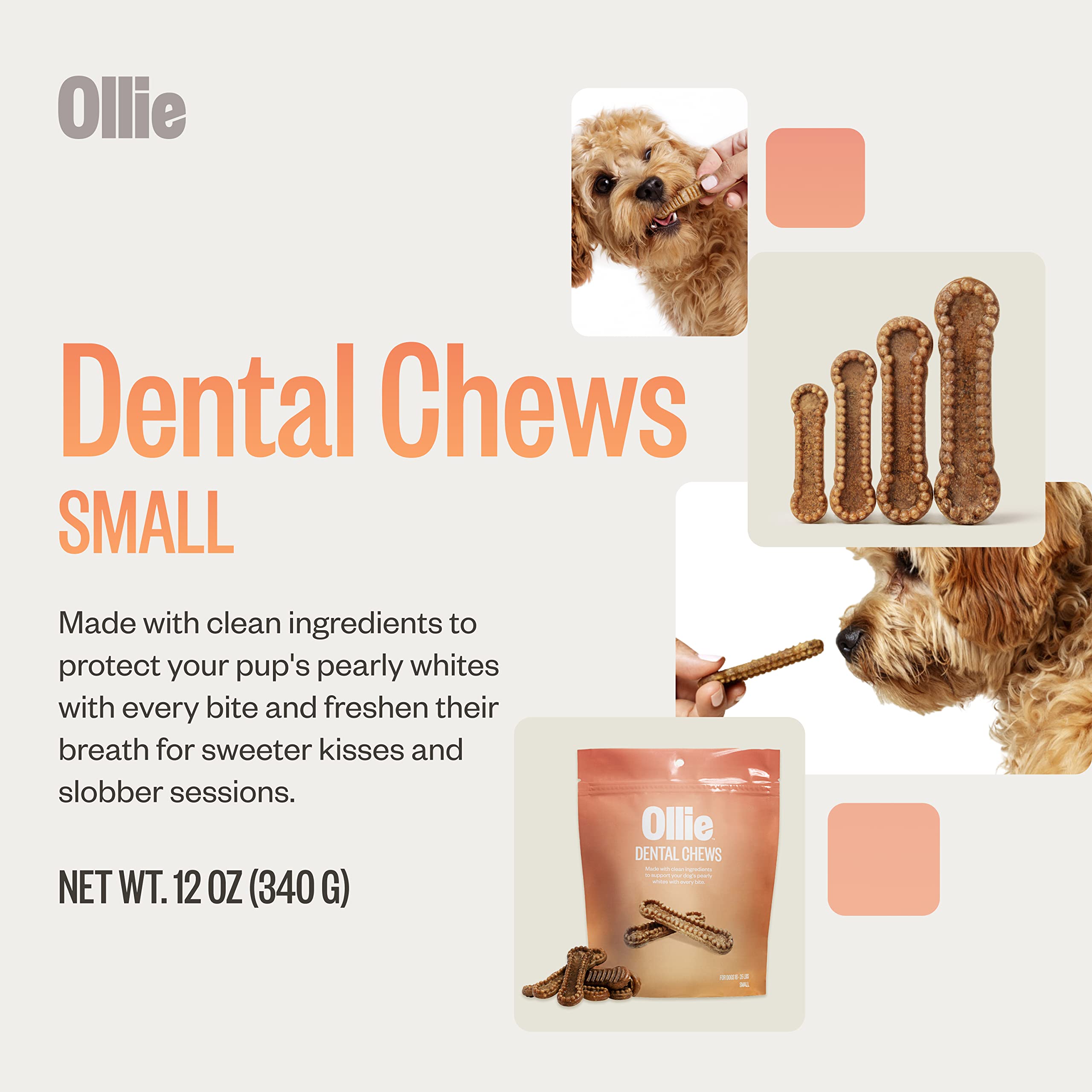 Ollie Belly Rubs Dog Probiotic Chews - Probiotics for Dogs and Ollie Dental Chews for Dogs Small - Dog Breath Treats