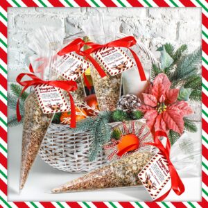 Dansydaisy 100 Set Magic Reindeer Food Christmas Treat Bag with Tag and Red Ribbon Christmas Party Favor Goodie Cone Bags with Labels Twist Ties Plastic Reindeer Food Bags for Xmas Gift Wrapping