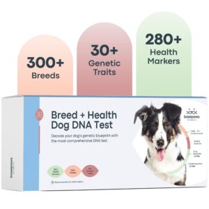 basepaws dog dna testing kit - 300+ breeds, 280+ health risks, and 30+ traits - comprehensive health, trait, and mixed breed identification, dog dna test kit, test dogs genetic ancestry and heritage