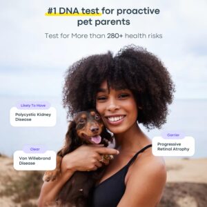 Basepaws Dog DNA Testing Kit - 300+ Breeds, 280+ Health Risks, and 30+ Traits - Comprehensive Health, Trait, and Mixed Breed Identification, Dog DNA Test kit, Test Dogs Genetic Ancestry and Heritage