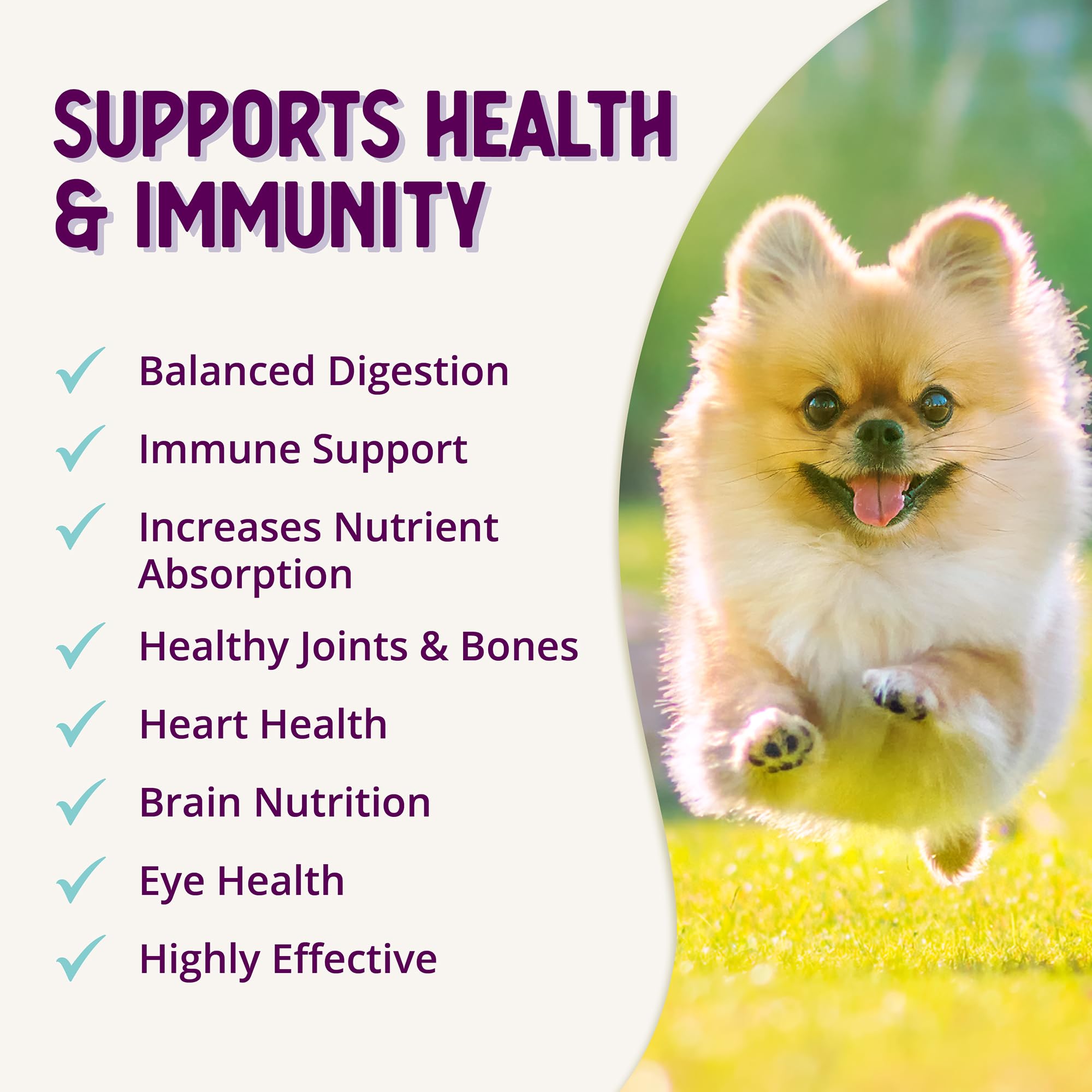 Health Extension Dog Health and Nutrition Bundle - Multivitamin (30 Tablets), Little Bites Dry Dog Food Chicken & Brown Rice Recipe (4 Lbs), Joint & Hip Supplement Cheese Flavored Powder (16oz)