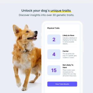 Basepaws Dog DNA Testing Kit - 300+ Breeds, 280+ Health Risks, and 30+ Traits - Comprehensive Health, Trait, and Mixed Breed Identification, Dog DNA Test kit, Test Dogs Genetic Ancestry and Heritage