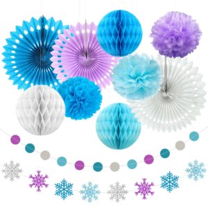 winter snowflake decorations, frozen birthday party decorations includes snowflake banner paper lanterns,tissue pom poms fan,winter wonderland baby shower winter birthday party decorations