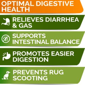 Omega 3 + Vet Strength Dog Probiotics Bundle - Allergy &Itch Relief Skin & Coat Supplement - 1 Billion CFU + Digestive Enzymes - Diarrhea, Gas, Constipation, Upset Stomach Relief - 300ct - Made in USA