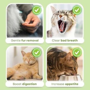 Berdexa Cat Grass Teething Stick, Cuddles Meow Cat Grass Sticks for Indoor Cats, Cat Grass Chew Sticks, Cat Teeth Cleaning Cat Grass Stick, Cat Chew Stick, for Hairball Removal (4Bag/24PCS)