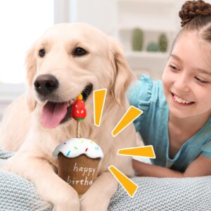 Squeaky Pet Toys - Stuffed Toy Squeaky, Teething Chew Toys, Interactive Cake Shape Pet Plush Toys with Sound, Dog Crinkle Plaything Pet Dentals Health for Breeds Squeaks Pets Dogs Birthday Gfitss