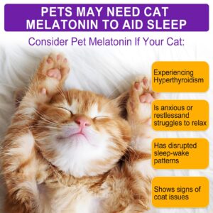 Bivinke Cat Melatonin, Melatonin for Cats, Cat Calming, Cat Anxiety Relief, Anxiety Relief for Cats, Cat Sleep Aid,Helps to Support Restful Sleep for Your Cat - Veterinarian (1 pcs)