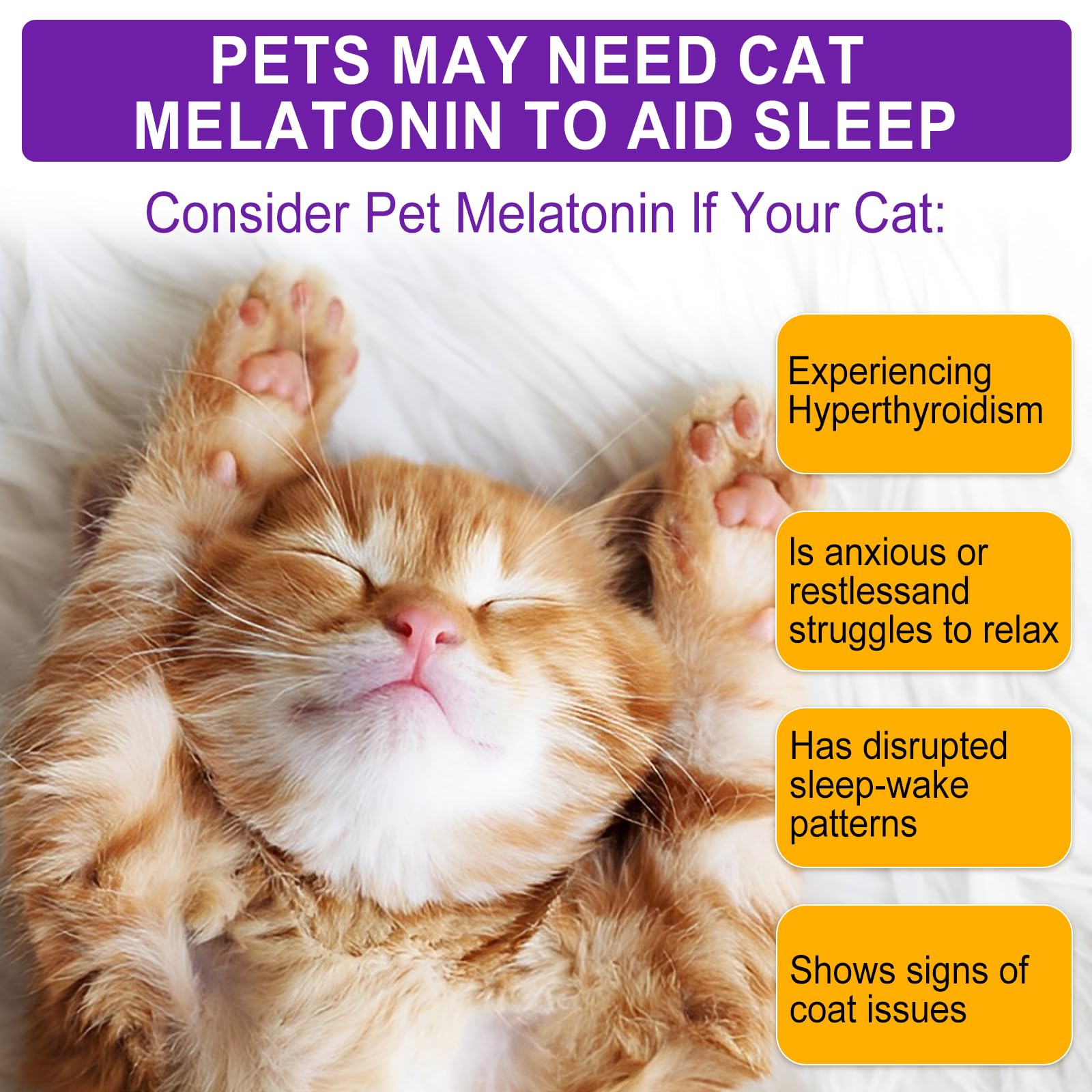 Bivinke Cat Melatonin, Melatonin for Cats, Cat Calming, Cat Anxiety Relief, Anxiety Relief for Cats, Cat Sleep Aid,Helps to Support Restful Sleep for Your Cat - Veterinarian (1 pcs)