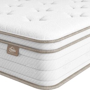 TeQsli Queen Mattress 12 Inch, Sleep Cooler Eggshell Memory Foam and 7 Zone Pocket Innerspring Hybrid Mattress Medium Firm, Queen Bed Mattress in a Box, 100-Night Trial, 10-Year Support