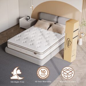 TeQsli Queen Mattress 12 Inch, Sleep Cooler Eggshell Memory Foam and 7 Zone Pocket Innerspring Hybrid Mattress Medium Firm, Queen Bed Mattress in a Box, 100-Night Trial, 10-Year Support