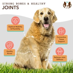 Natural Dog Company Senior Dog Supplements: Hip & Joint Chews, Coldwater Atlantic Salmon Oil & Super Seeds Granules for Joint Care, Immune Health & Aging Dog Support