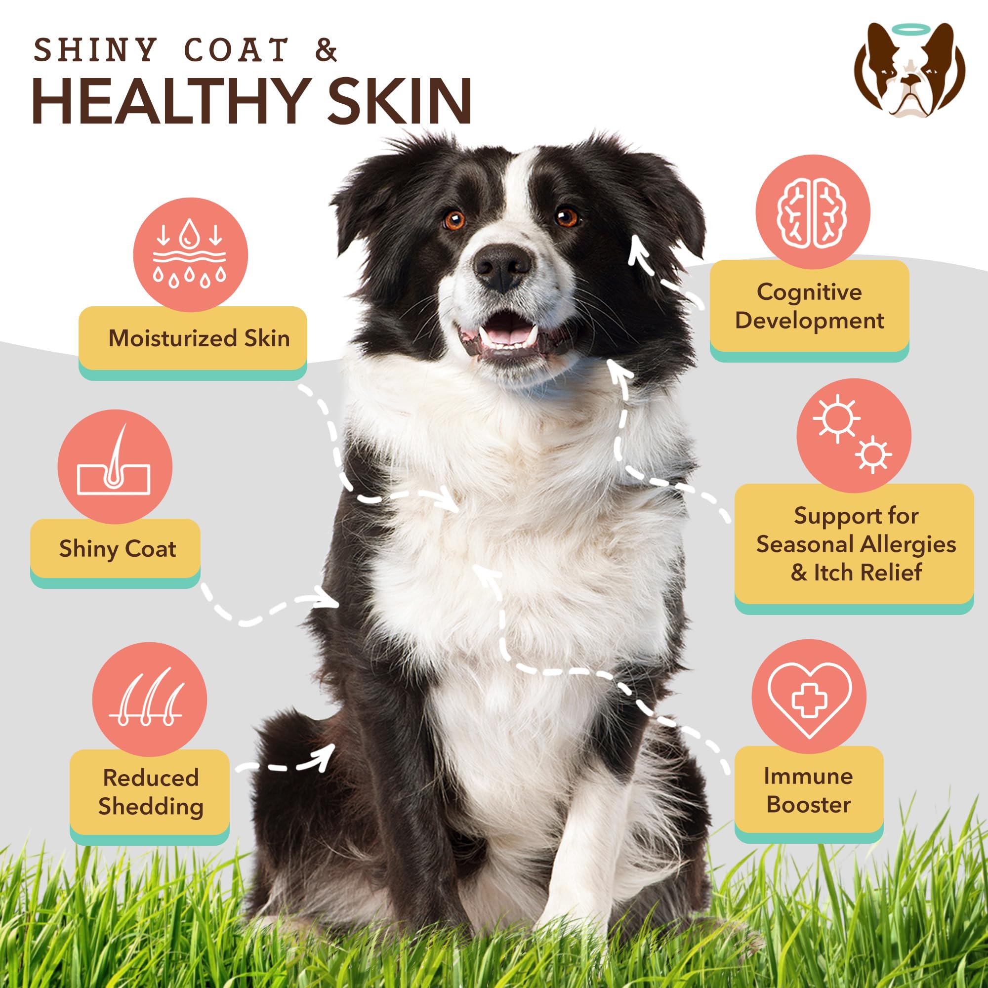 Natural Dog Company Skin & Coat Health Bundle with Omega-3, DHA, and Antioxidants for Dogs, Supports Healthy Skin, Shiny Coat, and Overall Wellness Ideal for Dry Skin Relief & Enhancing Dog Coat Shine