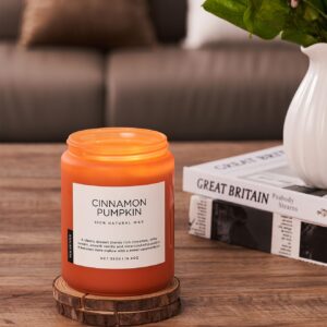 M&SENSE Cinnamon Pumpkin Scented Fall Candles, Double Wick Large Soy Natural Candles 19.4oz 110 Hours Long Lasting Slow Burning, Halloween Autumn Candle Gift Home Decor MSS603L07