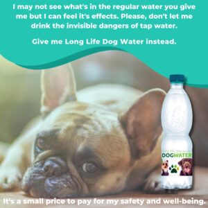 Long Life Dog Water - Natural Spring Water for Dogs, pH-Balanced Dog Water, Helps with Electrolytes for Dogs & Improve Dog Hydration, Mineral-Free - 16.9 oz 6-Pack with Free Cooling Dog Bowl 32oz