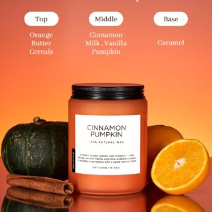 M&SENSE Cinnamon Pumpkin Scented Fall Candles, Double Wick Large Soy Natural Candles 19.4oz 110 Hours Long Lasting Slow Burning, Halloween Autumn Candle Gift Home Decor MSS603L07