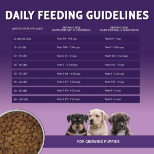 Zignature Puppy Formula Dry Dog Food, 12.5lb Bag