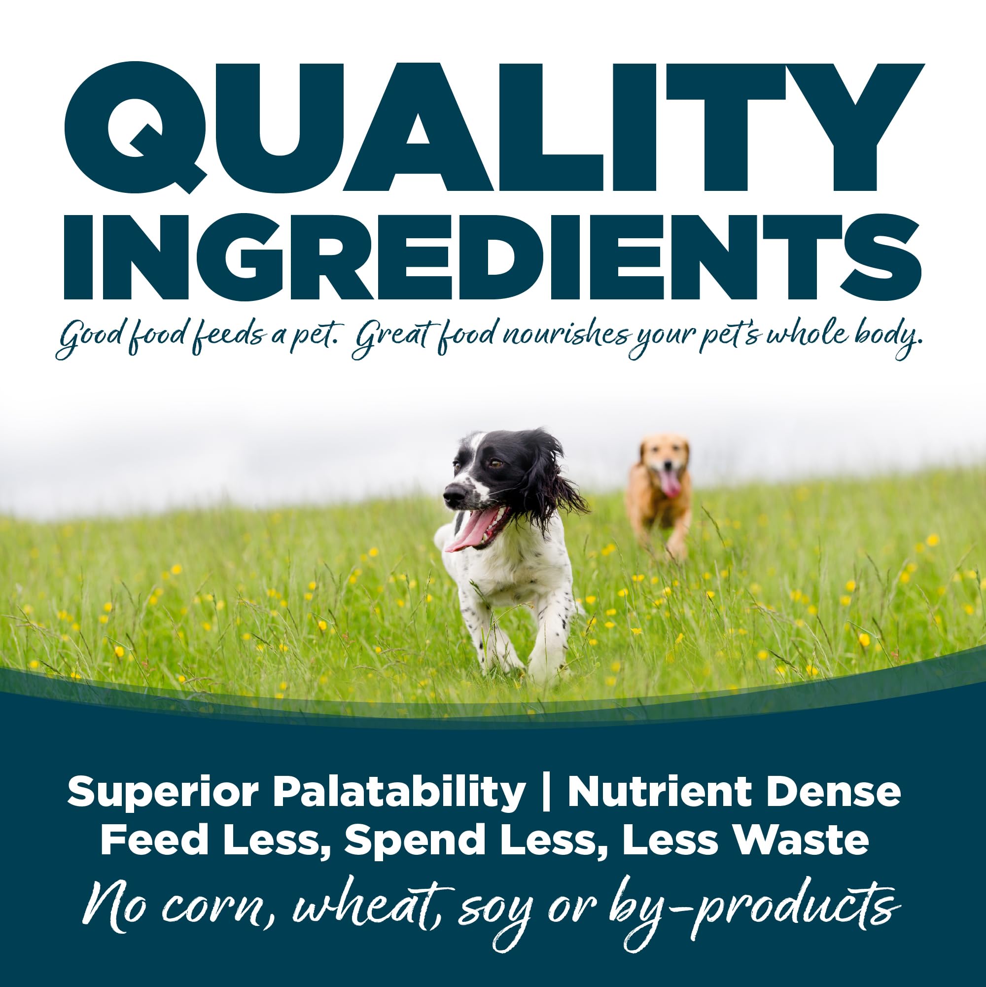 NutriSource Adult Dry Dog Food, Small Bites, Chicken and Rice, 12LB