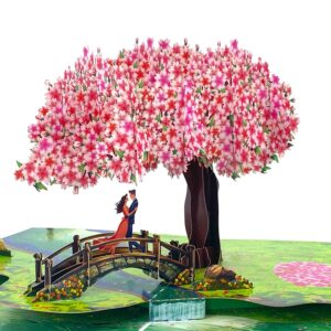 norvas pop up anniversary cards 3d cherry blossom bridge with couple in love, romantic greeting card for wife, husband, her, him, wedding card, happy valentine’s day, 6"x 8" happy mother’s day pop up card