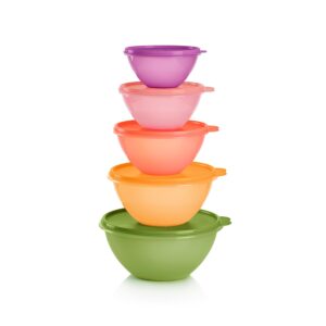 tupperware heritage wonderlier 10 piece food storage bowl set in multi colors- dishwasher safe & bpa free - (5 containers + 5 lids)