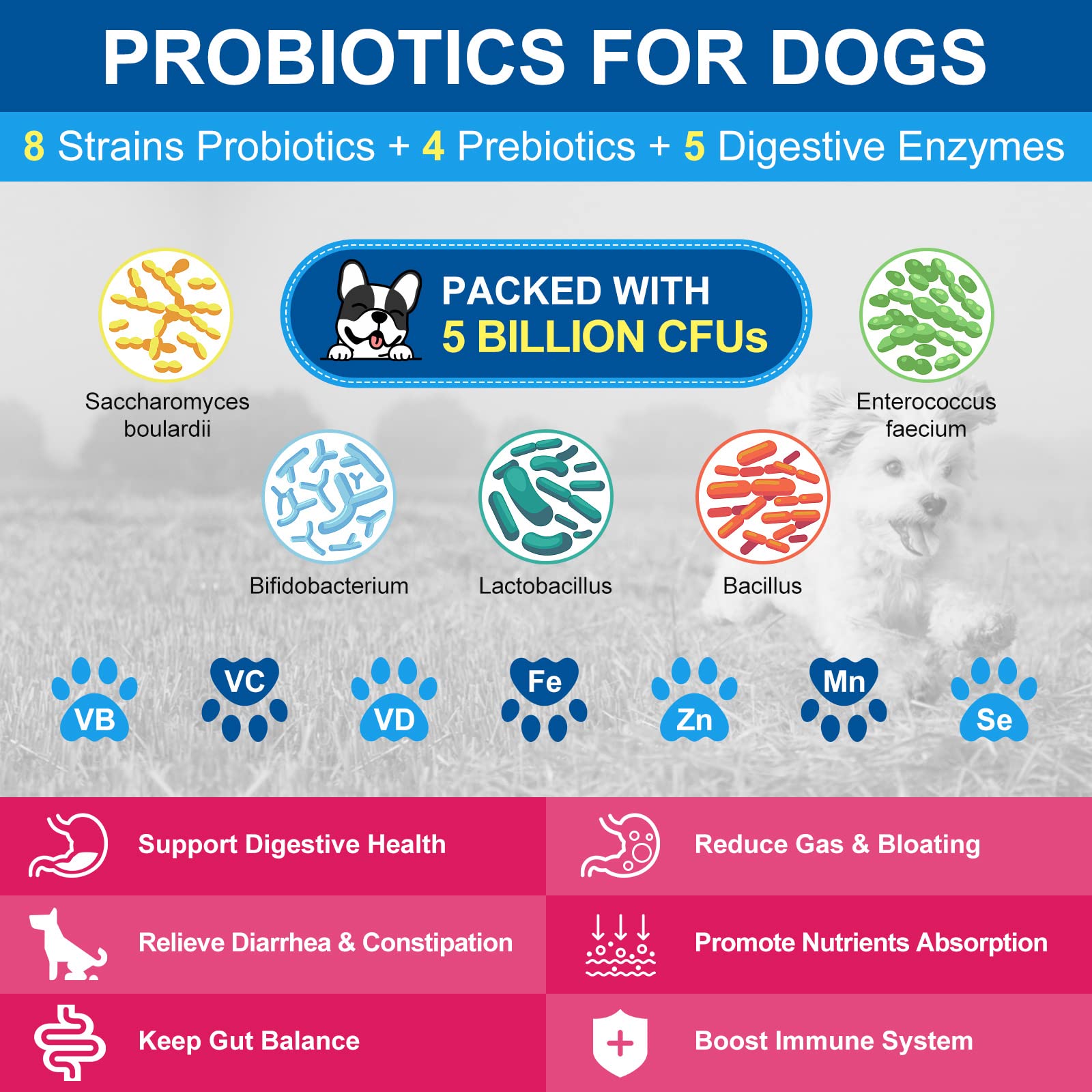 Dog Vitamins Powder, Probiotics for Dogs 180 Bites