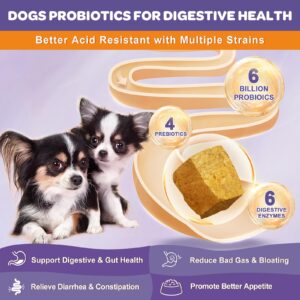 Dog Vitamins Powder, Probiotics for Dogs 180 Bites