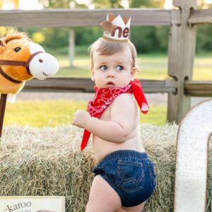 WUTKYAX Cow 1st Birthday Crown,Holy Cow I’m One,Farm Birthday,Cow 1st Birthday Crown for Girls,Holy Cow Western Cowgirl First Birthday Decoration and Decor,Western Cowboy Birthday Hat,Photo Props