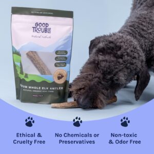 Good Trouble Pets Premium Elk Split Antlers for Medium Dogs - All-Natural, Shed Antler Chews for Dental Health & Calming - Cruelty-Free, North American Sourced - 1 Pack