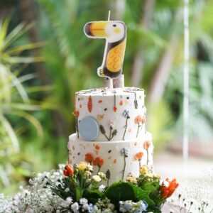 iNINGER Giraffe Number Birthday Candles,Birthday Candles,Giraffe Print Number 1 Candles,Girls Boys Birthday Decorations,Giraffe Cake Candles for Girls Boys Forest Animal Jungle Party Decoration