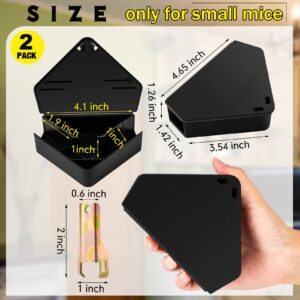 Qualirey 2 Pcs Mice Station with Key Mouse Bait Station Reusable Mice Trap Bait Box, Keeps Children and Pets Safe Indoor & Outdoor, Bait Not Included, Suitable for Small Mice (Black)