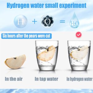 Portable Hydrogen Water Bottle Generator