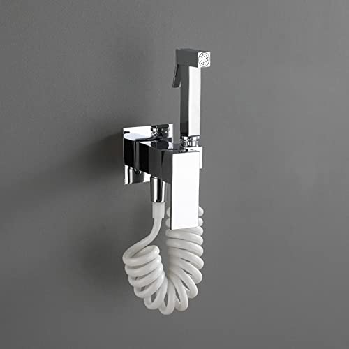 MINJING Bidet Sprayer Kit for Toilet Chrome Wall Mounted Bidet Attachment Faucet Sprayer for Toilet Multifunction for Pet Bath/Personal Hygiene/Bathroom/Closestool,Spring Hose