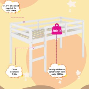 ANDORON Low Loft Bed Twin Size, Kids Solid Wood Modern Loft Bed Frame with Ladder and Safety Guardrail for Girls Boys, Noise-Free, Non-Toxic Finishes, Space-Saving, No Box Spring Needed (White, Twin)