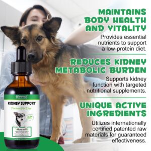 Liver Support for Dogs, Liver and Kidney Support for Dogs with Natural Herbal Extract Helps Balance Dogs Liver & Kidneys Health, Pet Supplement - Liver Support Drops to Improve Dog Energy - 2 fl.oz