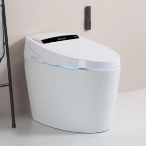 smart toilets with heated bidet seat, portable toilet with bidet built, bidet toilet with dryer and warm water