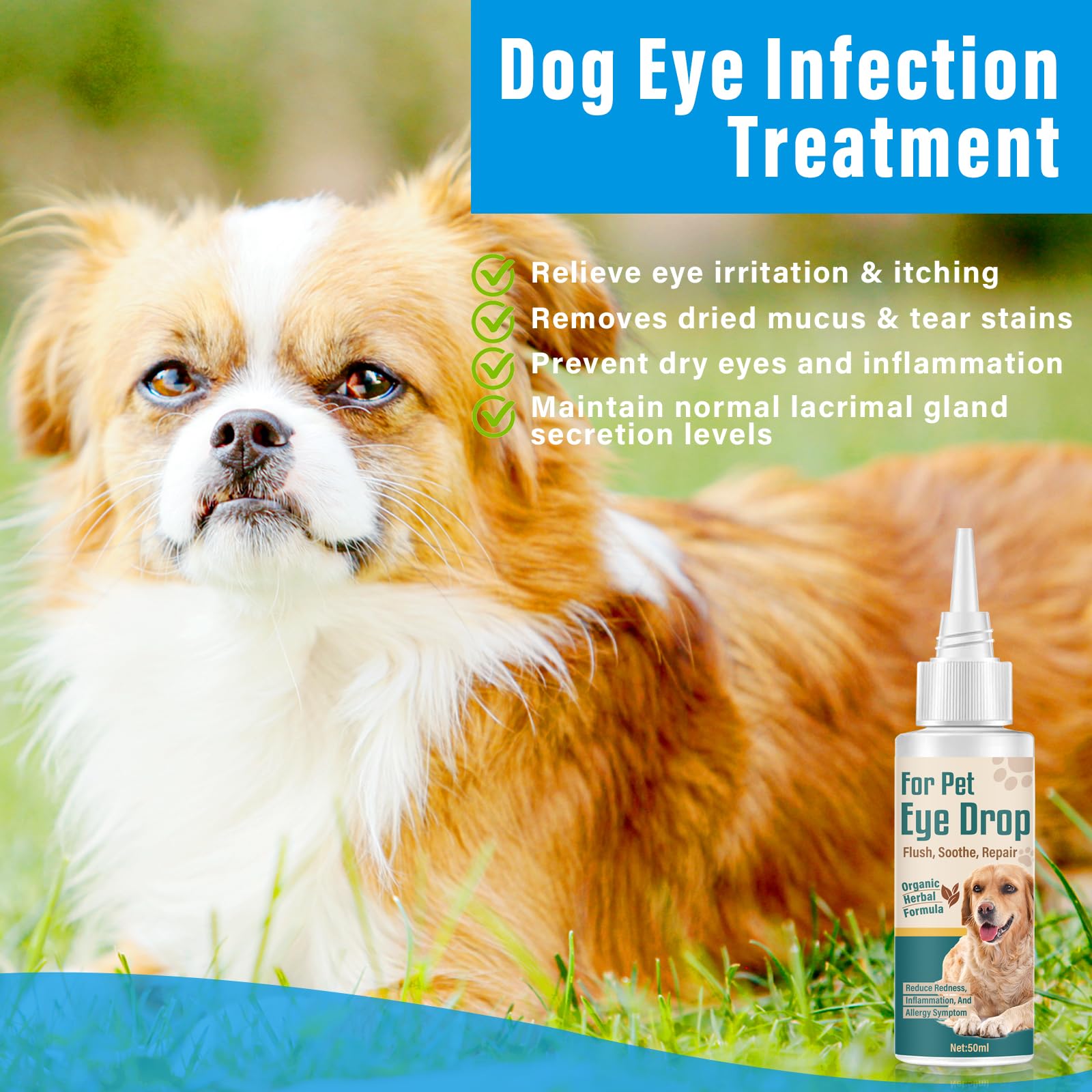 zeBrush Dog Eye Drops,Cataract Drops for Dogs & Cats-Relieve Pet Red Eyes,Dry Eyes & Infection Inflammation,Dog Tear Stain Cleaner,Improve Eye Vision,Safe & Gentle for Pets