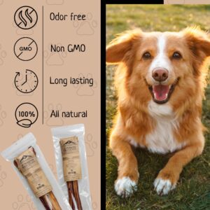 Pawsitive Cravings Monster Bully Sticks - 12 Inch All-Natural Bully Sticks for Dogs - Fully Digestible & 100% Grass-Fed Beef Sticks - Supports Dental Health - Extra-Thick Chews for Dogs - Pack of 3